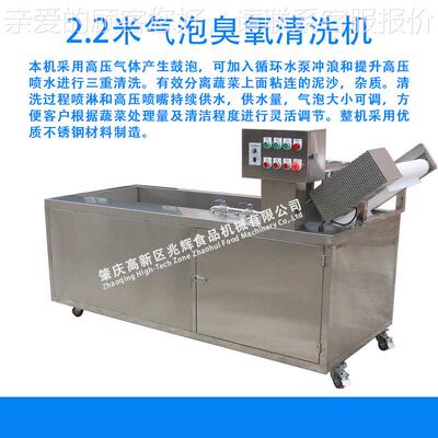 全自动果蔬泡清洗机 商用臭氧喷洗菜蔬机 气果海鲜XRQ淋气泡清洗