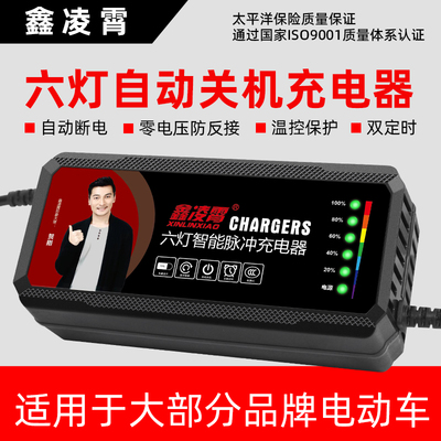 适用电动车电瓶充电器48v12ah60v20/30ah72v踏浪接口三轮车通用96