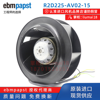 R2D225-AV02-15德国ebmpapst风机