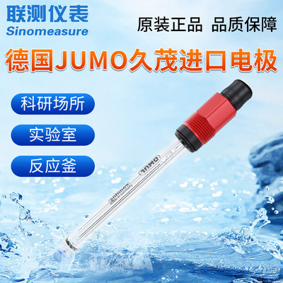 联测JUMO久茂高温玻璃ph