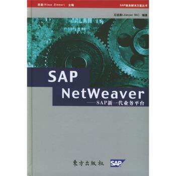 【正版书】 SAP NetWeaver:SAP新一代业务平台 石坚燕 著 东方出版社