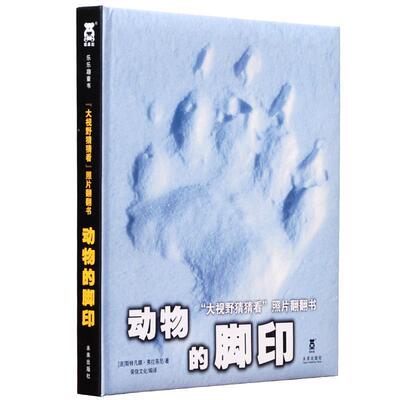 【正版书】 动物的脚印 斯特凡娜·弗拉蒂尼 未来出版社