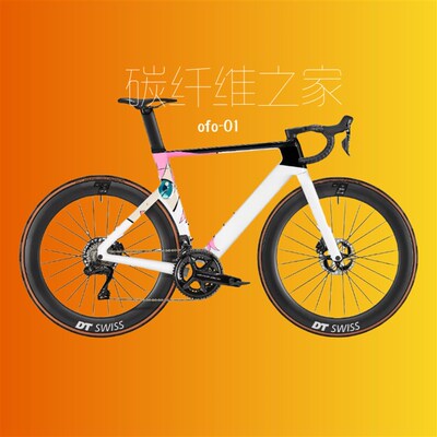 碳纤维公路车车架整车定制 涂装支持DIY 皮娜*崔克*梅花*蚕蛹