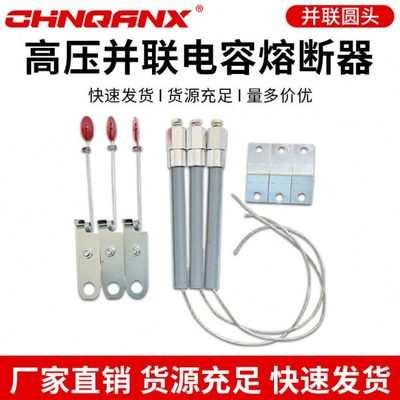 BR2 BRN BRW-10-12KV压并联电容器30A40A50A65熔断器管保险丝