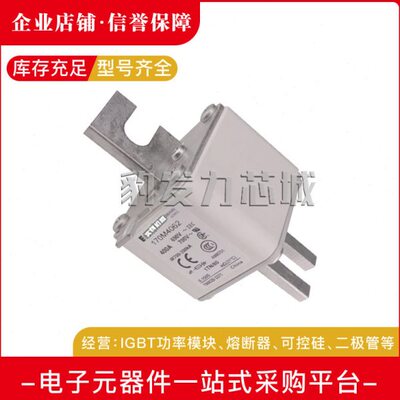 170M4708 170M4709 170M4710 170M4711 170M4712 170M4713熔断器