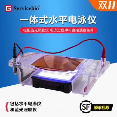 Servicebio SVL-2  一体式水平电泳仪 琼脂糖电泳 标配蓝光照胶仪