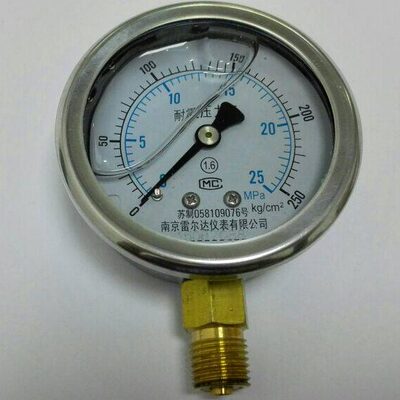 耐振压力表 25mpa 250kg/cm?? 直径61～68mm 螺纹G1/4 径向无边
