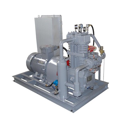 CNG加气站撬装式天然气压缩机操作规程气阀组件内部解剖图