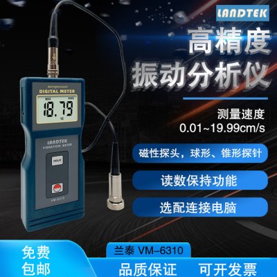 兰泰测振仪VM6310振动测量仪/机械故障检测仪测振表 震动测试仪