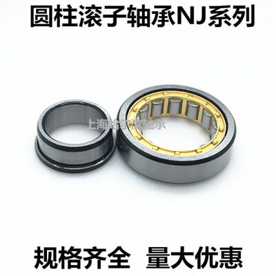 圆柱滚子轴承NJ2305 2306 2307 2308 2309 2310 2311 2312 2313EM