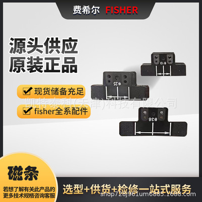 Fisher DVC2000/6200定位器费希尔专用磁条19/25/38/50/110/210mm