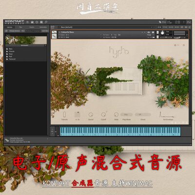 菌丝 电子/原声混合式乐器音源NI Hypha v1.1.0合成器音色kontakt