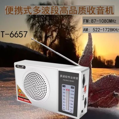 拓响T-6657老式便携式天线收音机双波段两种供电充电老人半导体