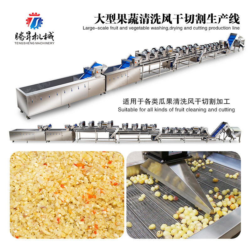 全自动多功能洗菜机洗果机气泡式水果清洗机果蔬清洗风干生产线