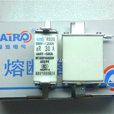 正品 海熔 快速熔断器RS30-30A/500V 保险丝