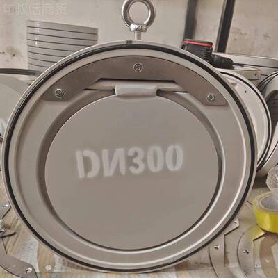罗茨风专机用单向阀止回阀 管道厂逆止阀蝶RGZ阀 DCV-50- 300 家
