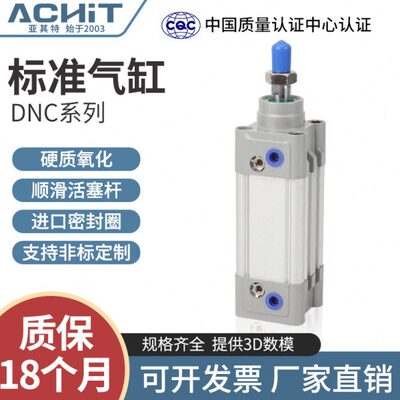 DNC标准气缸SE32/40/50/63/80/100-50*75X100/125/175/200PPV-A-S