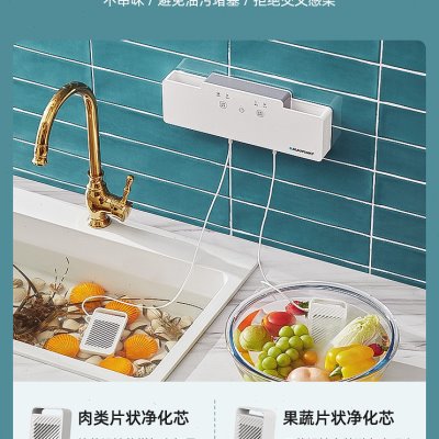 德国蓝宝果蔬清洗机家用食材净化洗菜器蔬菜去除农药洗肉水果卫士