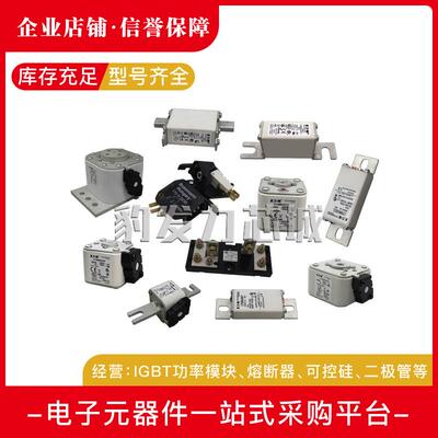 170M3466/3467/3468/3469/3470/3471/3472/3473全新熔断器
