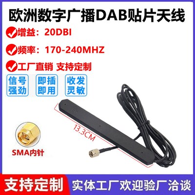 ANT-309plus 欧洲数字广播DAB+天线 数字收音天线 贴片隐藏天线