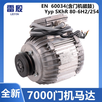 雷殷适用电梯7000门机马达EN60034 SKhR80-6H2/2540530电动机