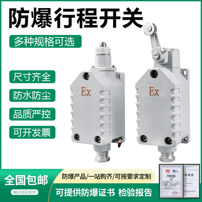 防爆行程开关限位8077脚踏隔爆型IIC/D/Z型摇臂式