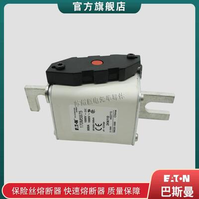170M5268 170M5974 170M5975 巴斯曼bussmann快速熔断器保险丝