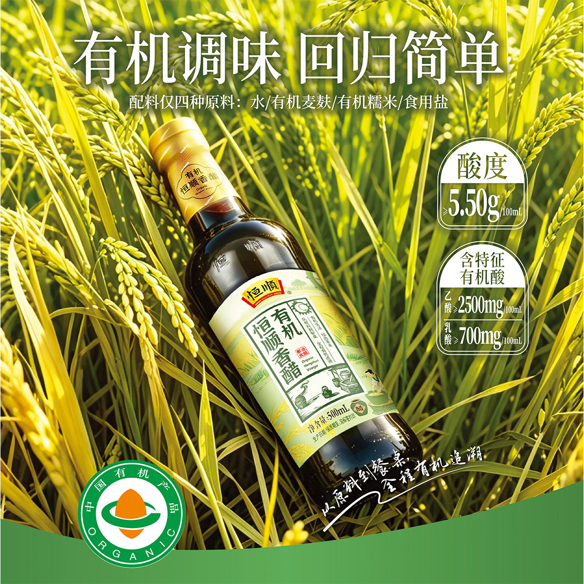 有机恒顺香醋镇江香醋谷物酿造炒菜凉拌饺子醋蘸食家用厨房调味