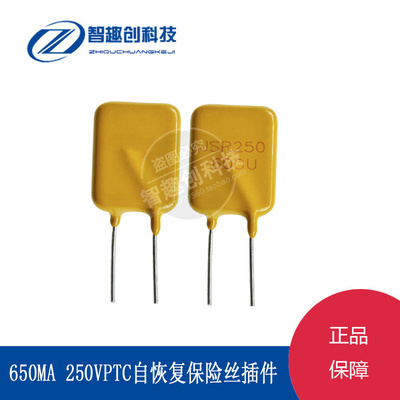 自恢复保险丝250-600U 0.65A 250V650MA PTC自恢复保险丝插件10个