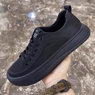 网布透气休闲鞋男款2025新款夏季软底板鞋潮流百搭系带黑色布鞋子