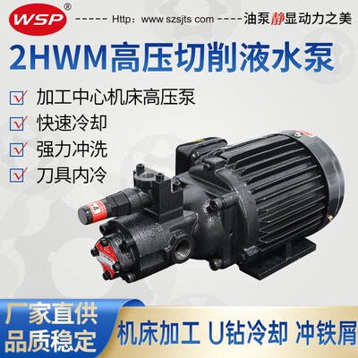 内冷高压水泵切削液专用中心主轴TOP-216HWM-VD日本NOP同款冷却泵