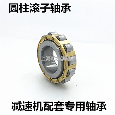 无外圈圆柱滚子轴承RN219 222 228 328 336M
