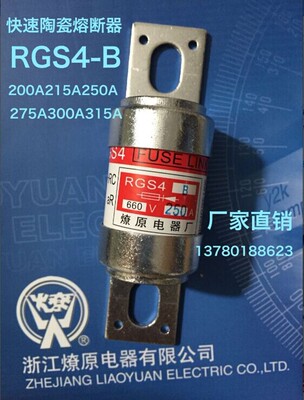 RGS4-B(200A-315A)快速熔断器/燎原熔断器rgs4-b