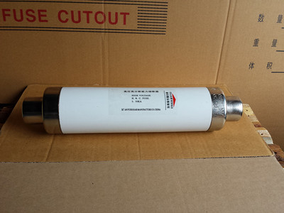 西高 高压熔断管XRNT-12/180A XRNT1-10/180-200A限流熔断器