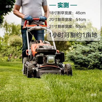 养牛打急草机家用应草机四程手推thy%hlzn式临时修剪冲草割坪