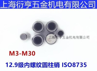 12.9级内螺纹圆柱销ISO8735内螺纹定位销M20系列