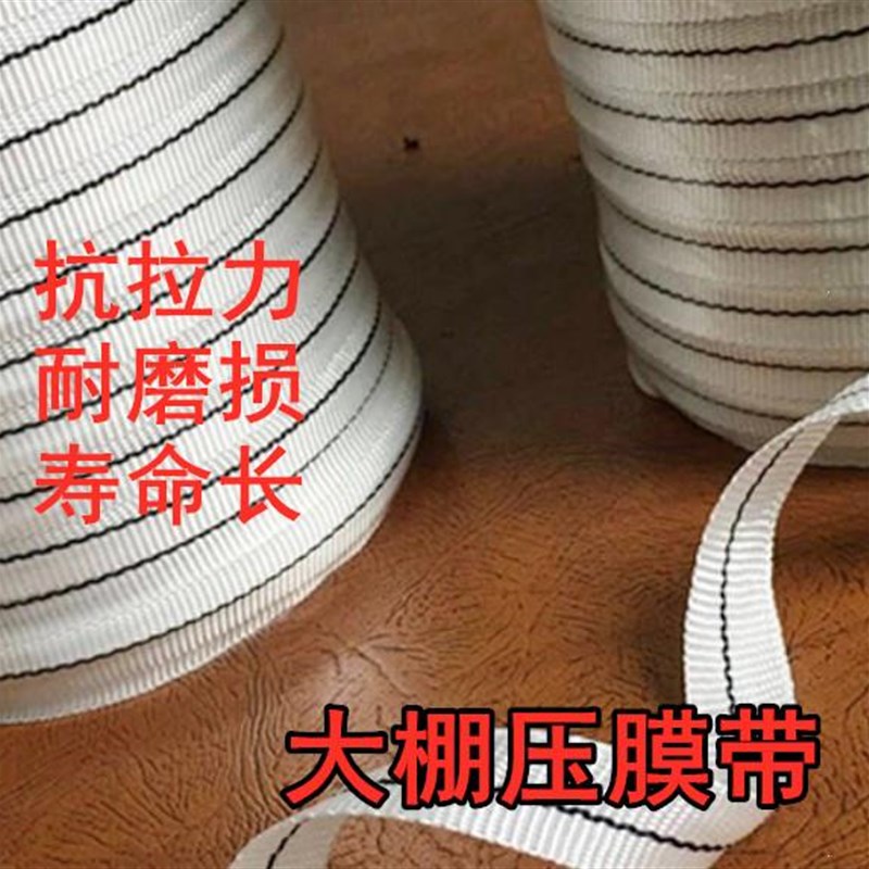 大棚绳子压膜绳固膜尼龙线结实绑带压膜线种植防晒大鹏扁带拉线