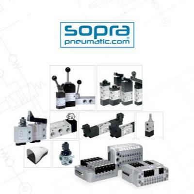 SOEA-PNEPUMATIC无杆气缸/SOPRA-PNUMAT979ICR旋转气缸