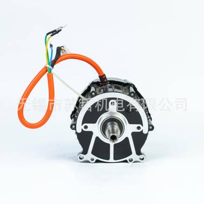 8120差速内螺纹电长机马达无机刷电4v65650v电动自行车用厂家