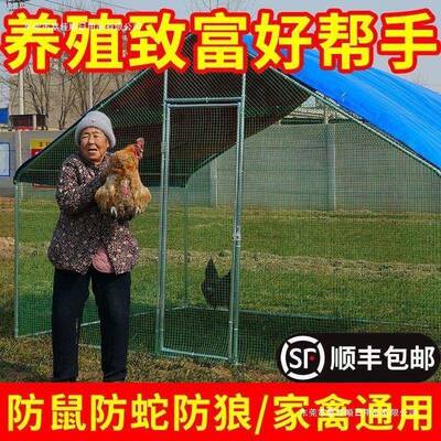 户养外鸡鸡棚鸡特大号家禽雨KEK家笼用鸽笼孔雀防鸡舍大型养殖搭