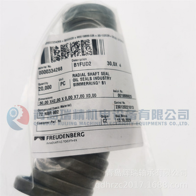 CFW外骨架油封B1FUD2进口
