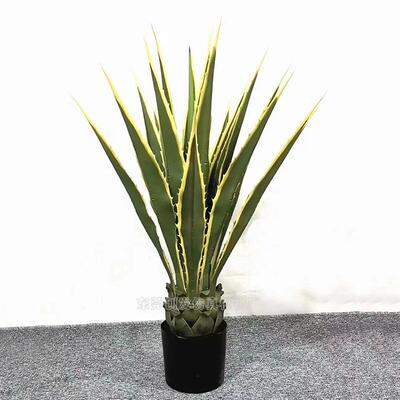 厂家仿真绿植盆舌CF0010栽龙兰胶剑麻叶黄绿化工程小盆景剑兰叶边