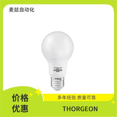 带点火器SX-T型壁灯泛光灯筒灯