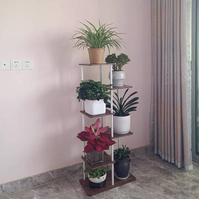 家直销室内厂花绿架植物架ANY客厅落地式鲜花植盆能栽置放架多功