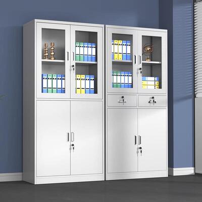 办室铁皮文件柜物档公案家用储柜EEJ资柜料柜更衣柜矮柜带锁凭证