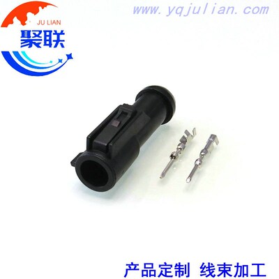 2孔汽车连接器插头 2P防水接插件 配端子DJ70210-1.5-11/21公母