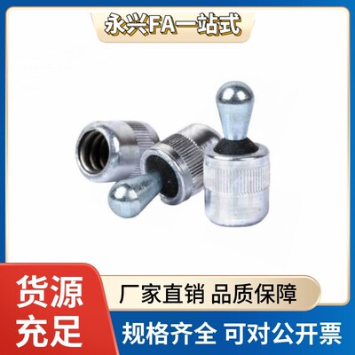 替代米思米BJ765-06002  03001 03002 05001 05002 弹簧定位销