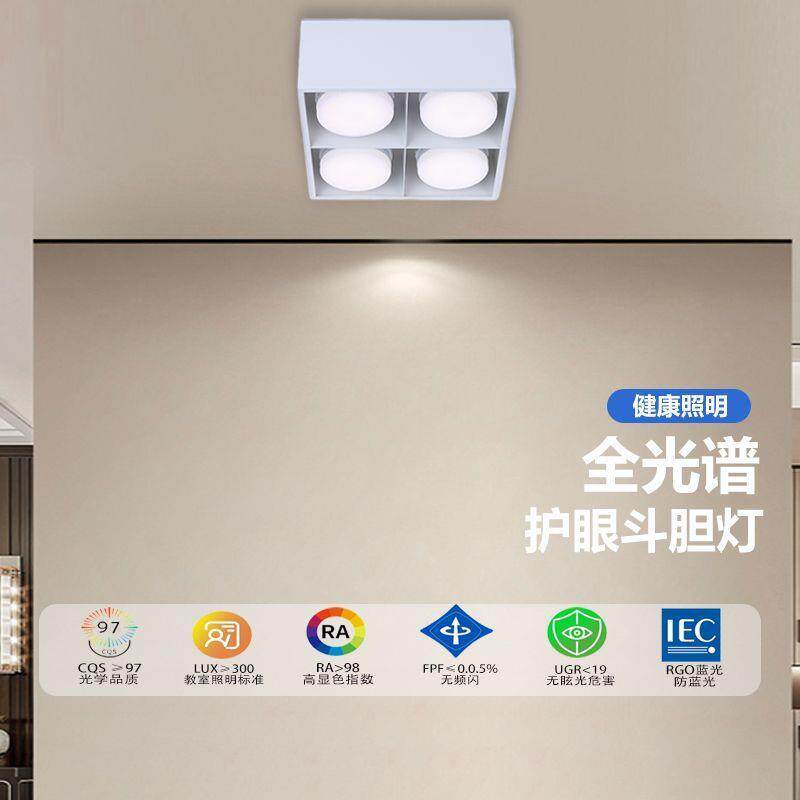 极简斗胆灯装筒灯无明主63305灯全光谱护明装筒灯防眩家用智风能