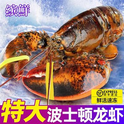 波士顿大龙虾鲜活冷冻澳洲龙虾海鲜水产熟冻奥龙波龙特大龙虾包邮