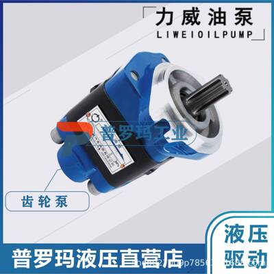 合肥力威液压油泵3407020-151-BF10汽车动力泵转向泵QC12/10-WXB